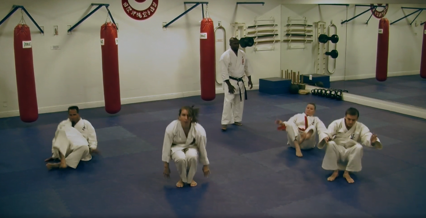The Program - Dojo At Home